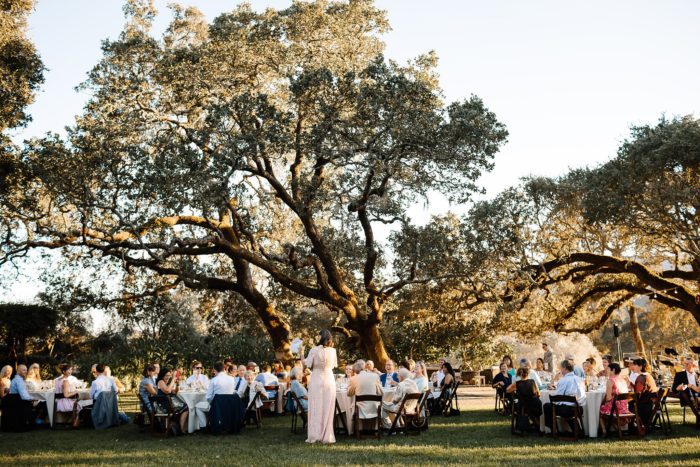 Summer Wedding at Beltane Ranch | Amy Little Photography